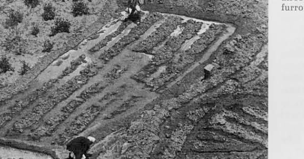 Dr. Daniel M. Varisco on Yemeni Food Systems | Middle East Studies Center